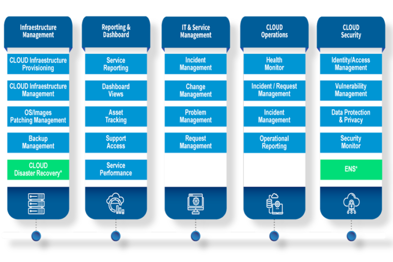 Applications & Infrastructure Managed Services (AMS) - Neteris