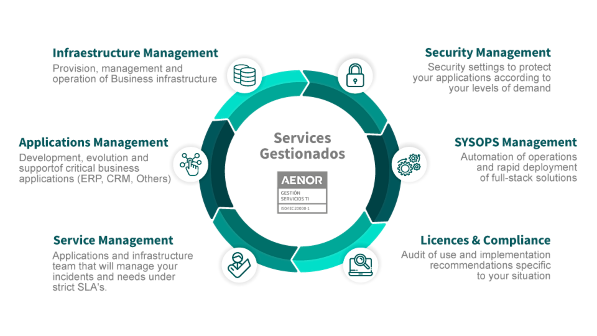 Applications Infrastructure Managed Services (AMS) - Neteris