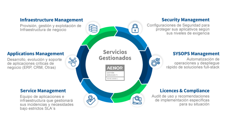 Applications Infrastructure Managed Services (AMS) - Neteris