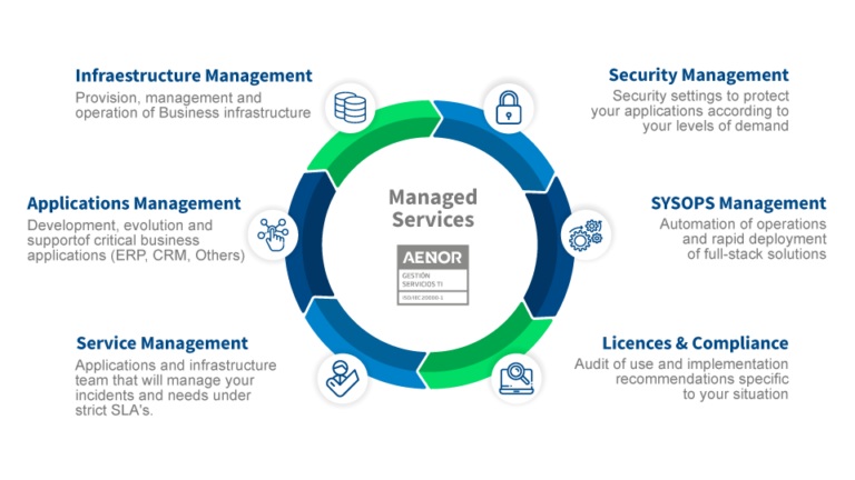 Applications & Infrastructure Managed Services (AMS) - Neteris
